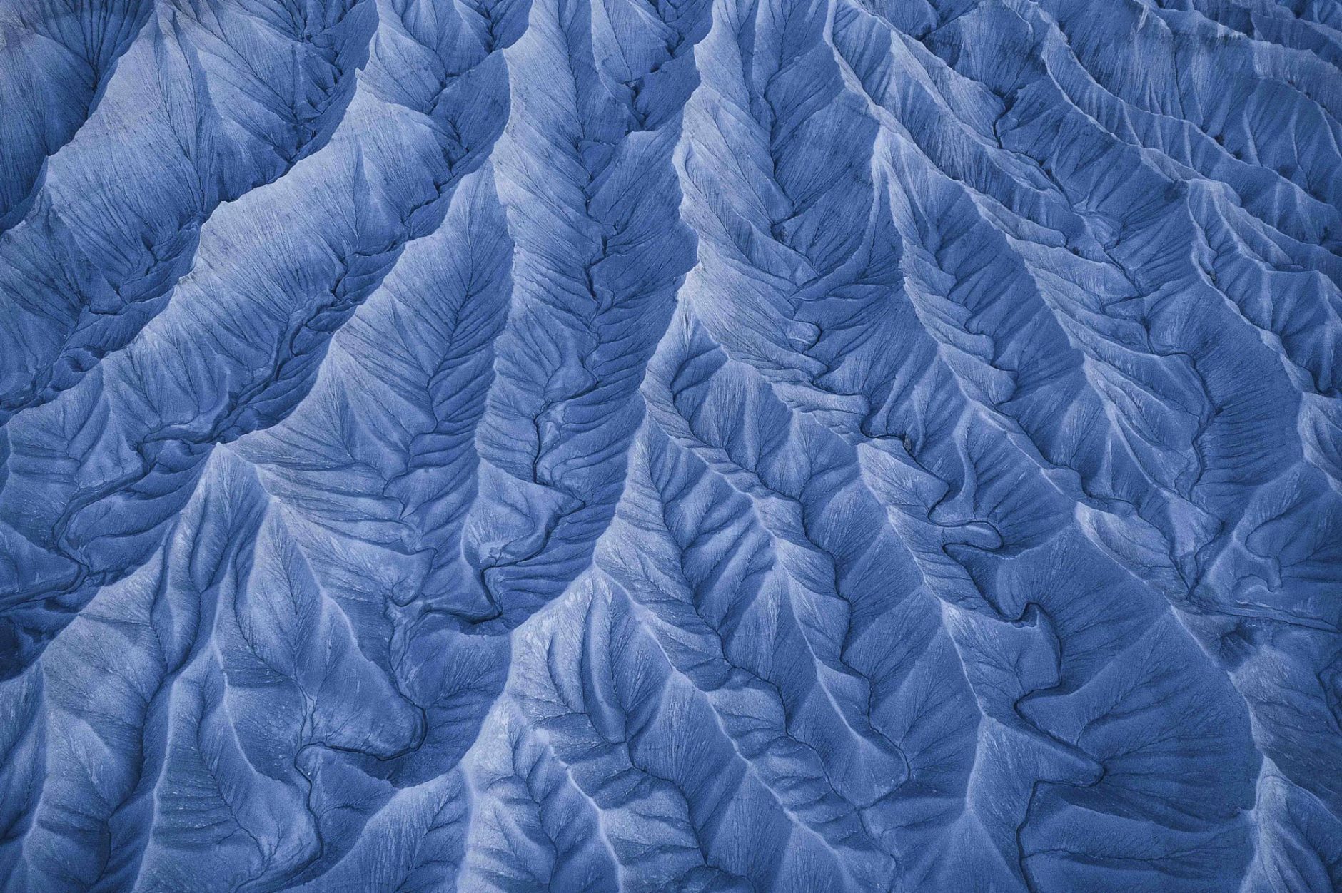 Space To Roam: A Tribute to Our Public Lands - Andrew Studer