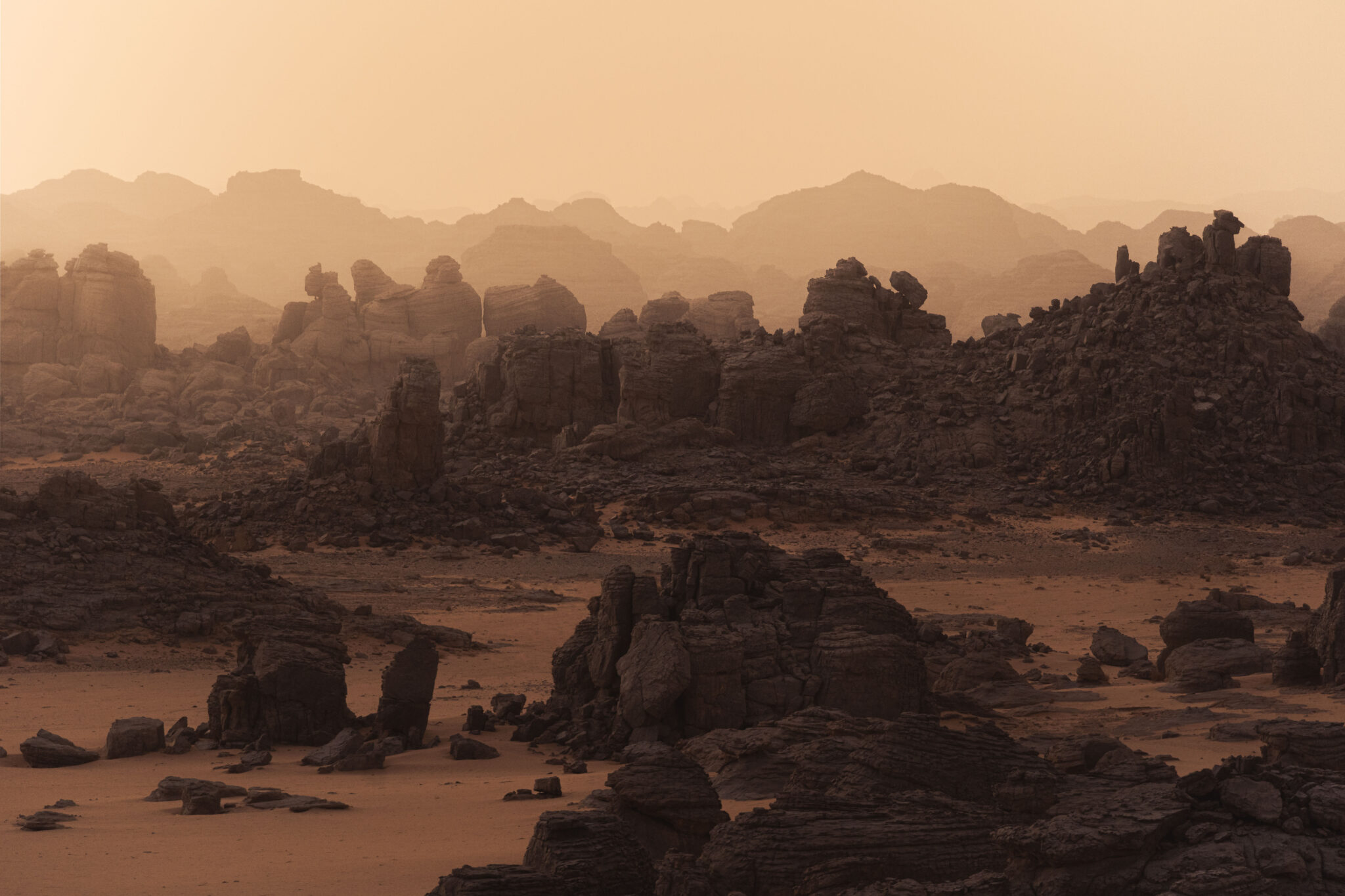 Space to Roam Book - Andrew Studer