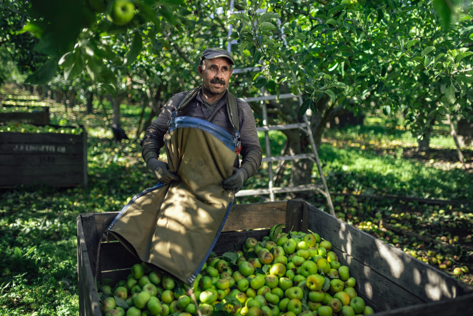 Andrew Studer Visuals | Outdoor Photographer located in Portland ...