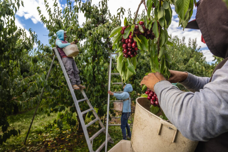 Andrew Studer Visuals | Outdoor Photographer located in Portland ...